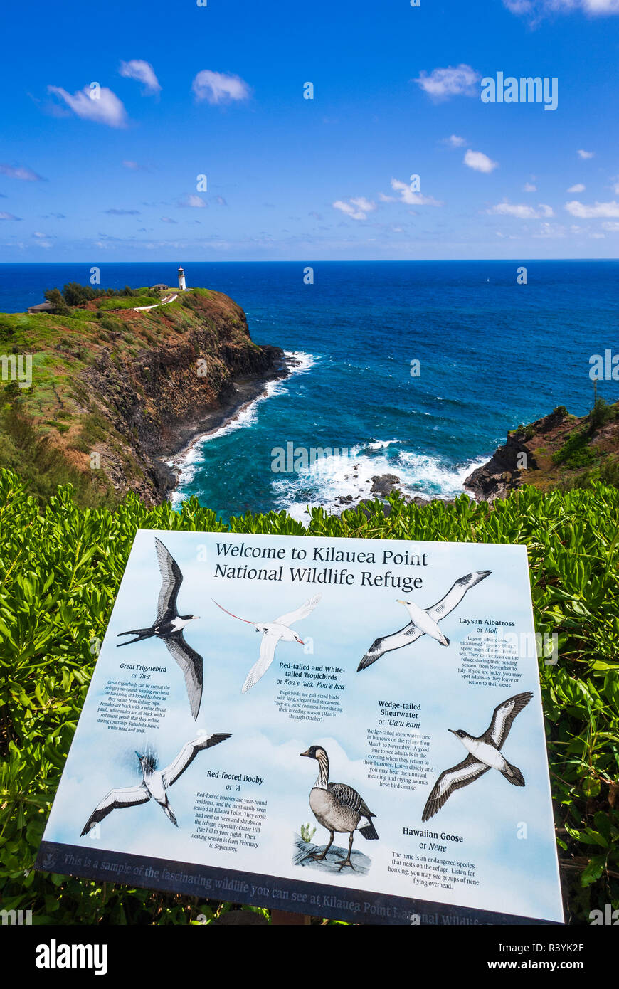 Kilauea Point Lighthouse, Kilauea National Wildlife Refuge, Island of ...