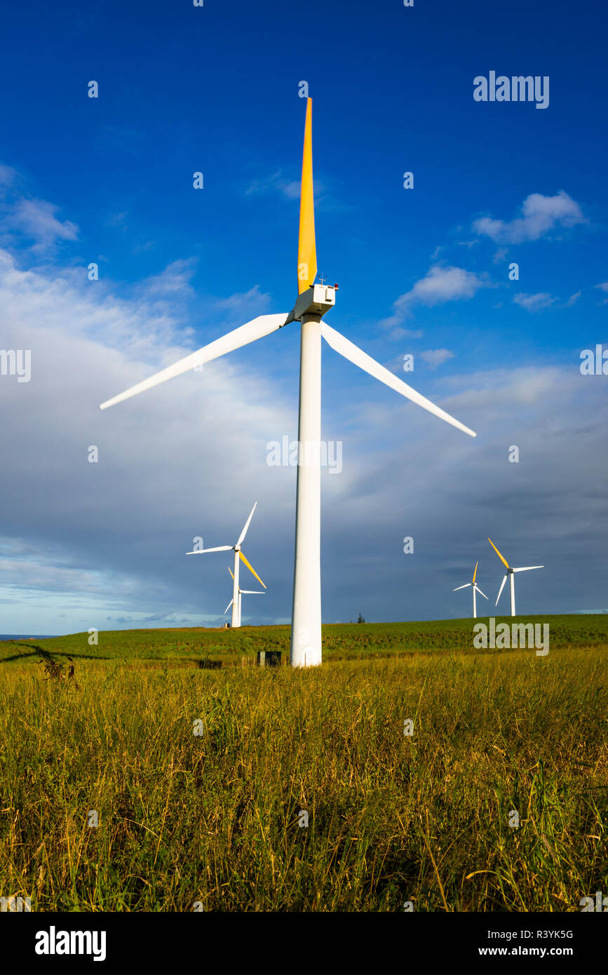 Wind turbines at the Hawi Wind Farm, Upolu Point, Hawi, The Big Island ...