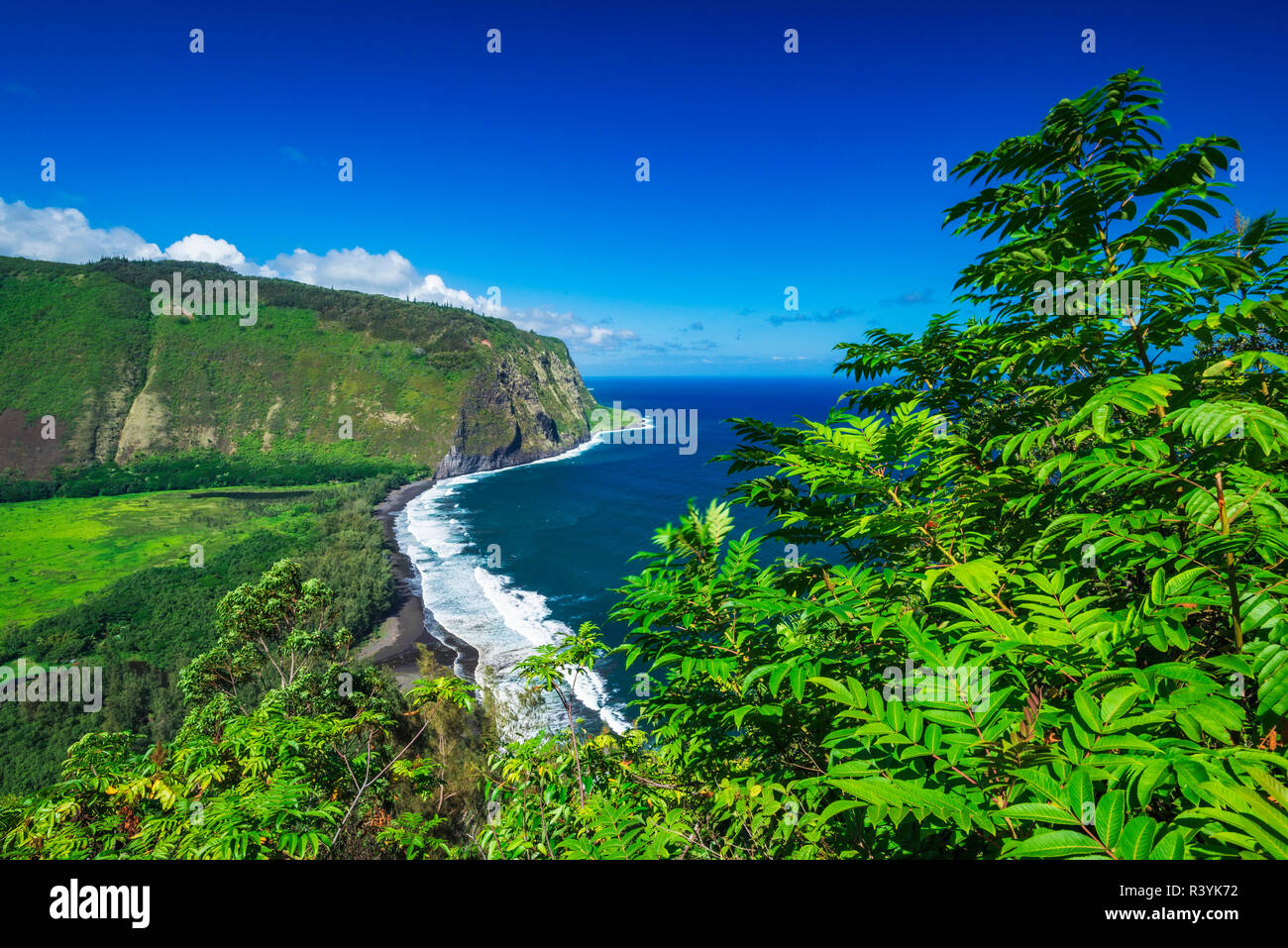 Hamakua coastline hi-res stock photography and images - Alamy