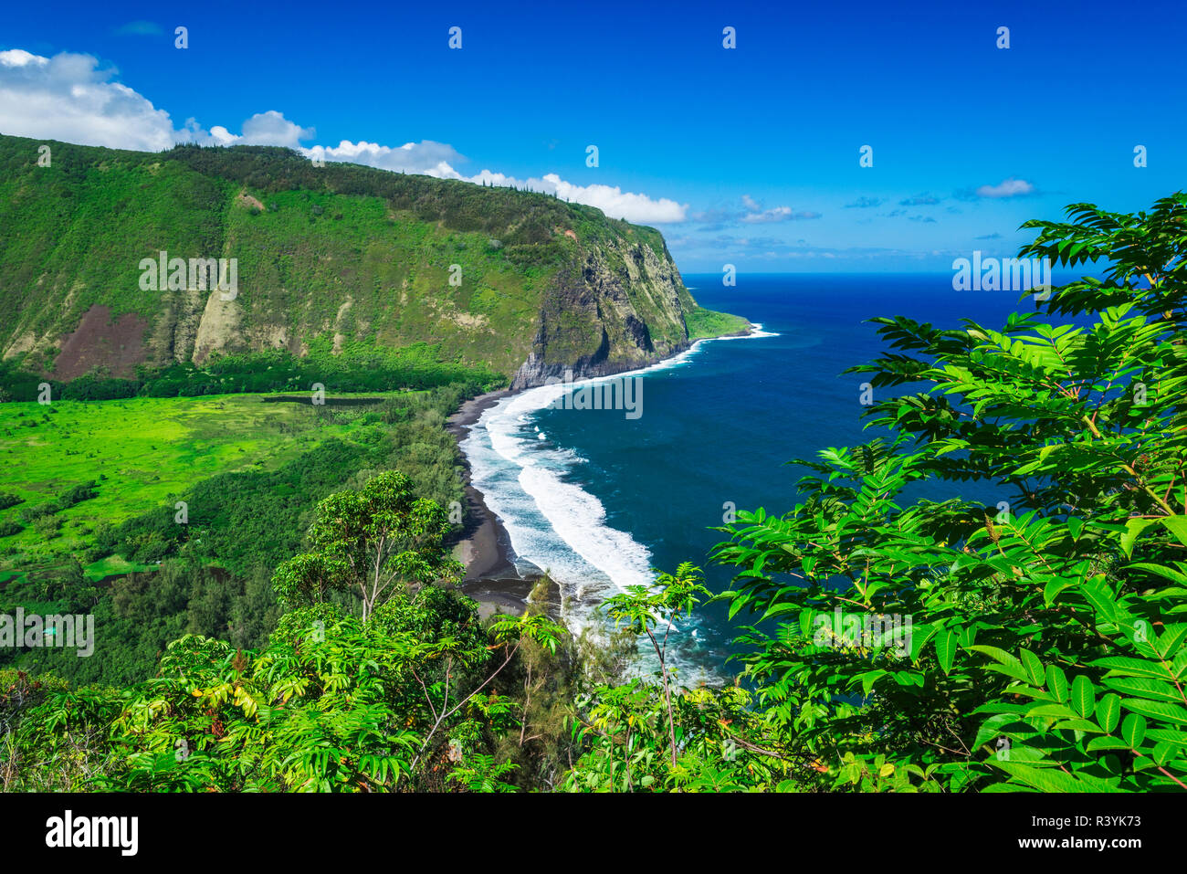 Hamakua coastline hi-res stock photography and images - Alamy