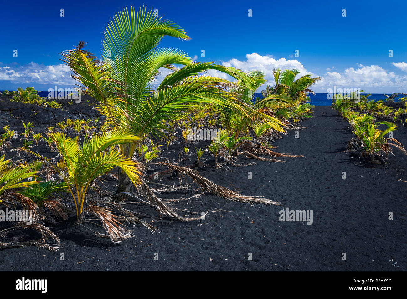 Kalapana black sand beach hi-res stock photography and images - Alamy