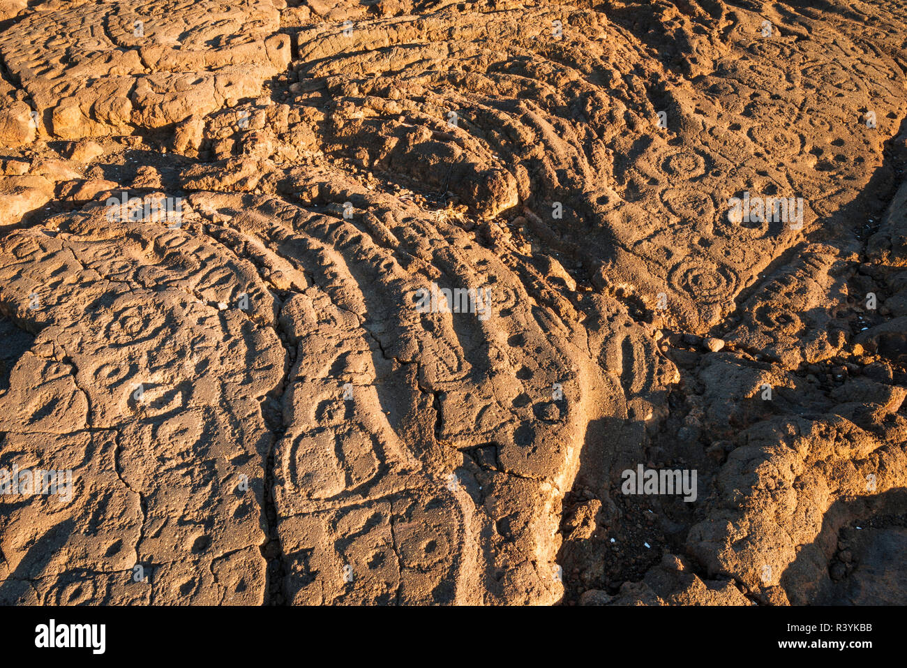 Hawaiian petroglyphs on the Kings Trail at Waikoloa, Kohala Coast, Big ...