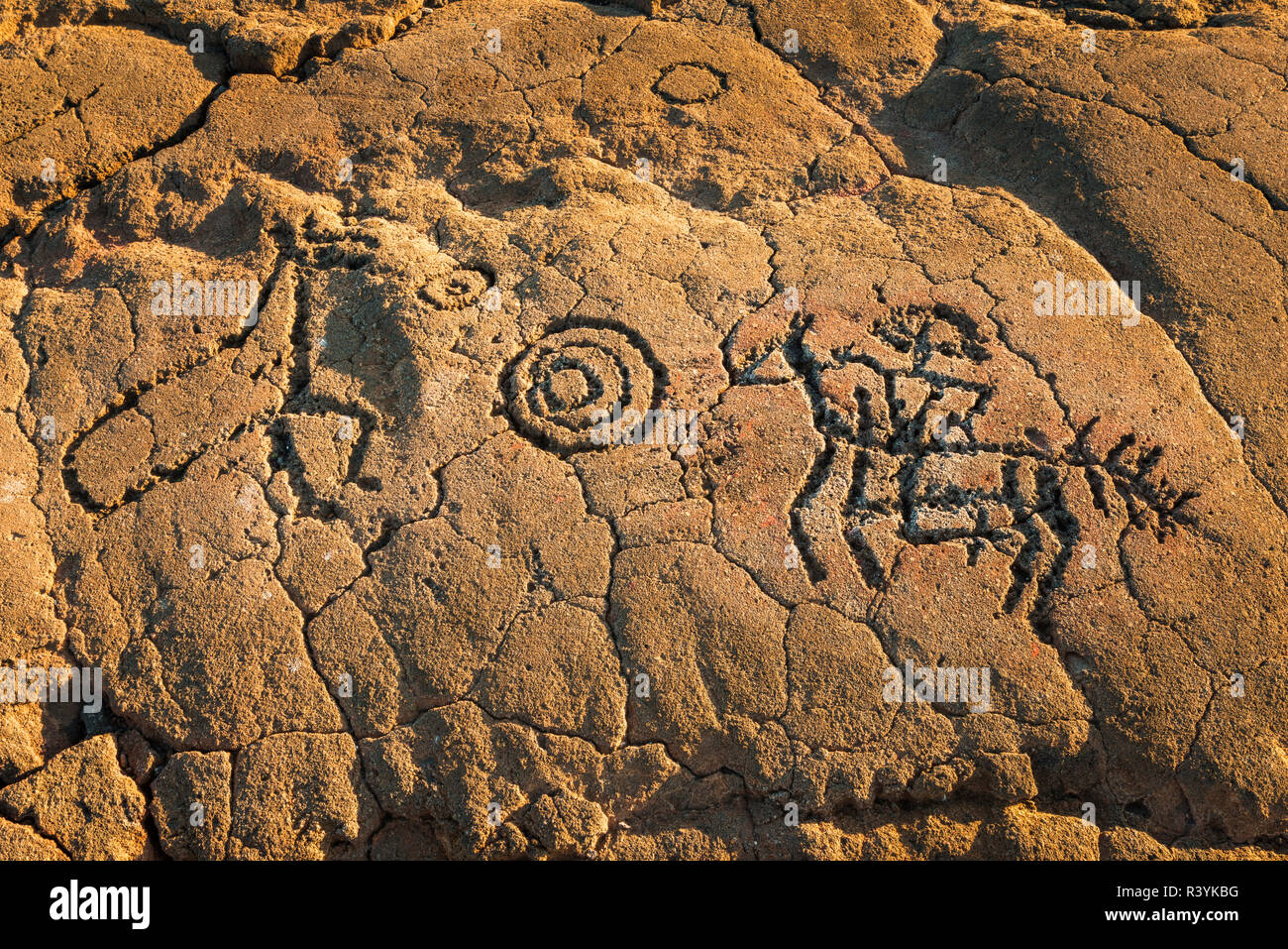 Hawaiian petroglyphs on the Kings Trail at Waikoloa, Kohala Coast, Big ...