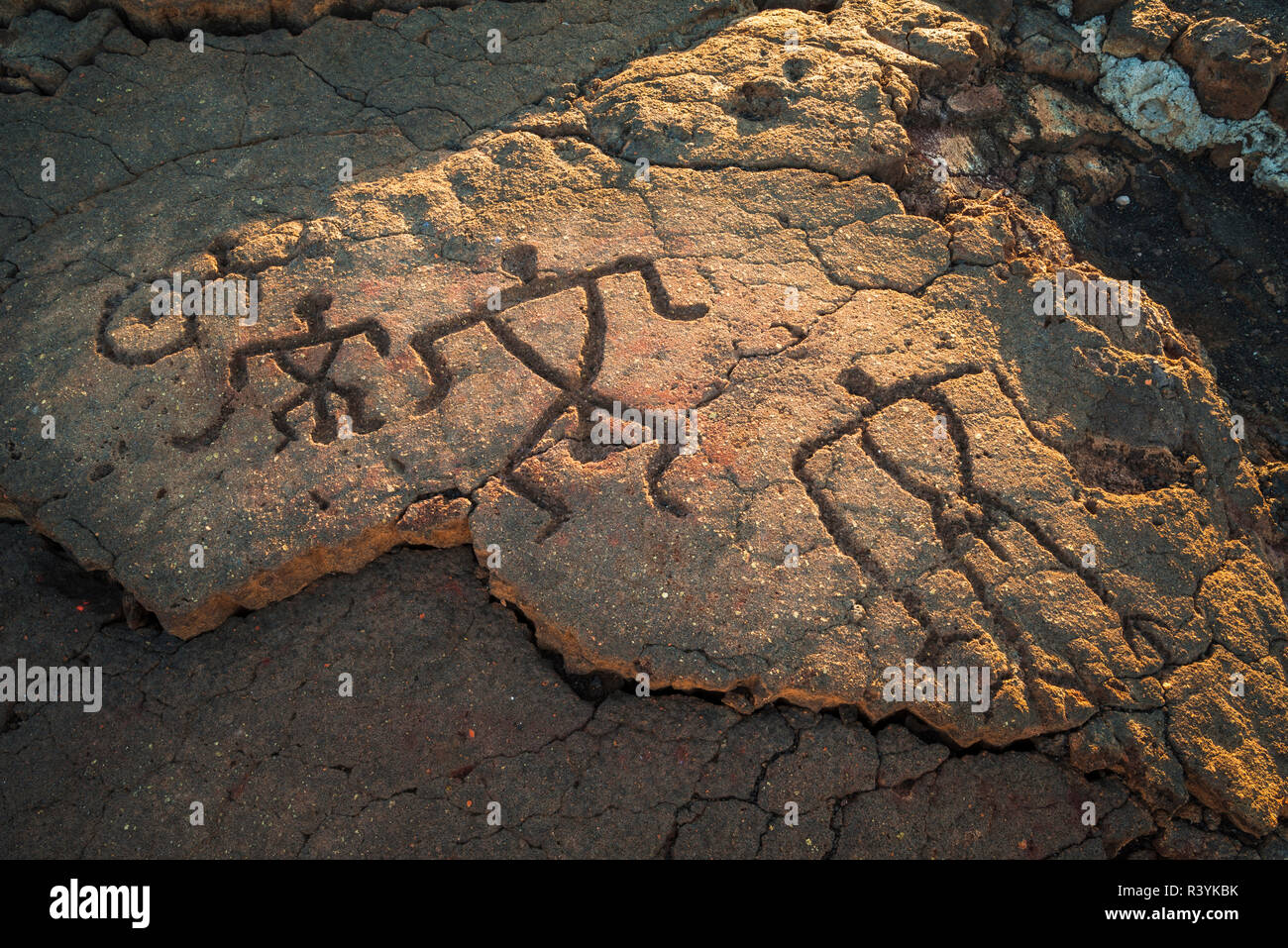 Hawaiian petroglyphs on the Kings Trail at Waikoloa, Kohala Coast, Big ...