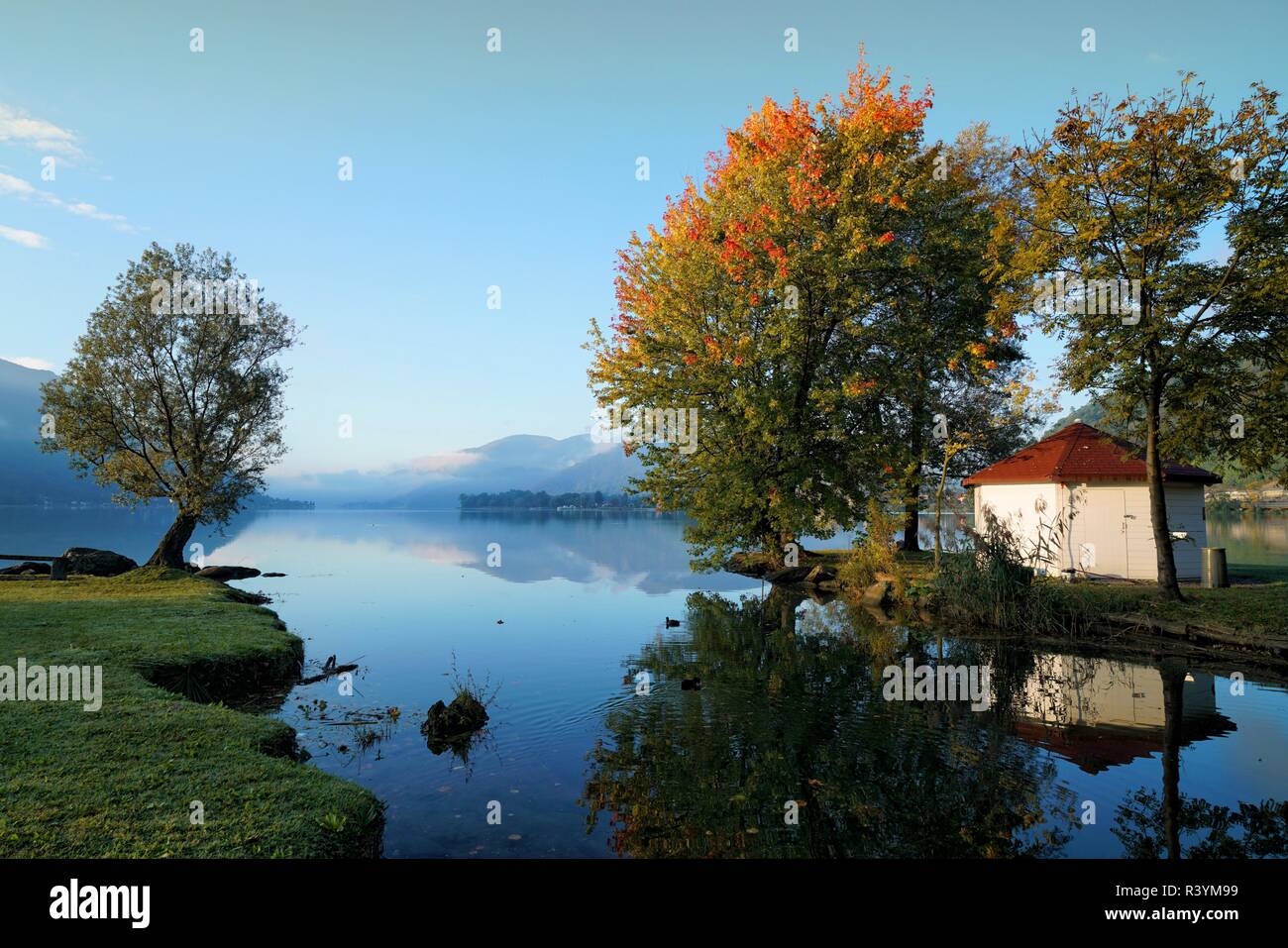 Agno hi-res stock photography and images - Alamy