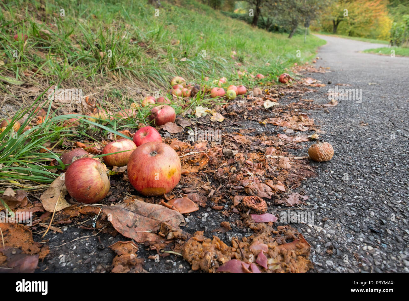 Road apples hi-res stock photography and images - Alamy