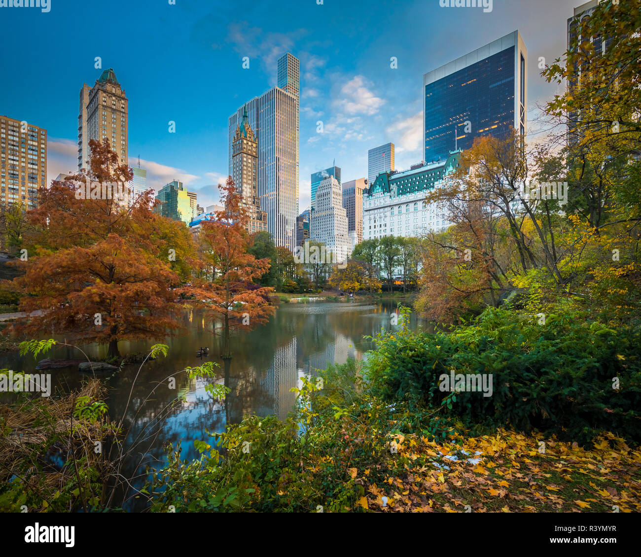 The Pond and Hallett Nature Sanctuary occupy the low-lying southeast ...