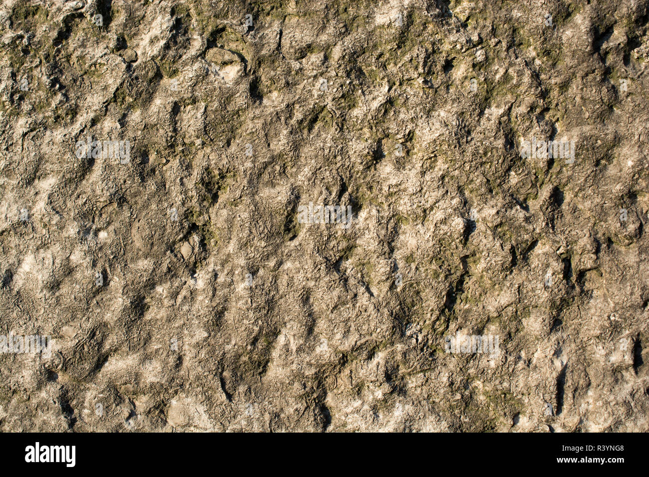 Wall surface as a simple grunge background texture pattern Stock Photo ...