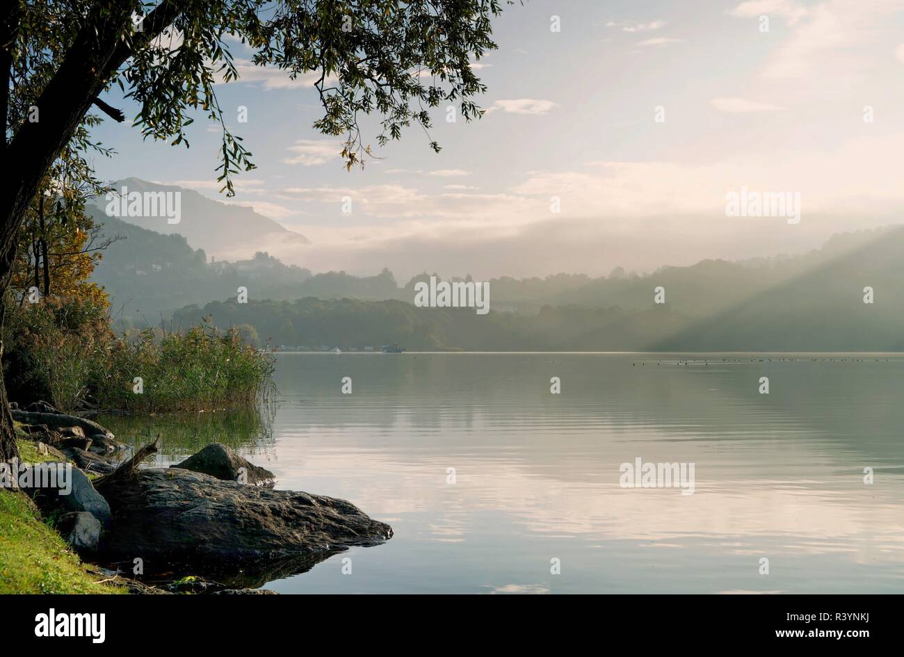 Agno hi-res stock photography and images - Alamy