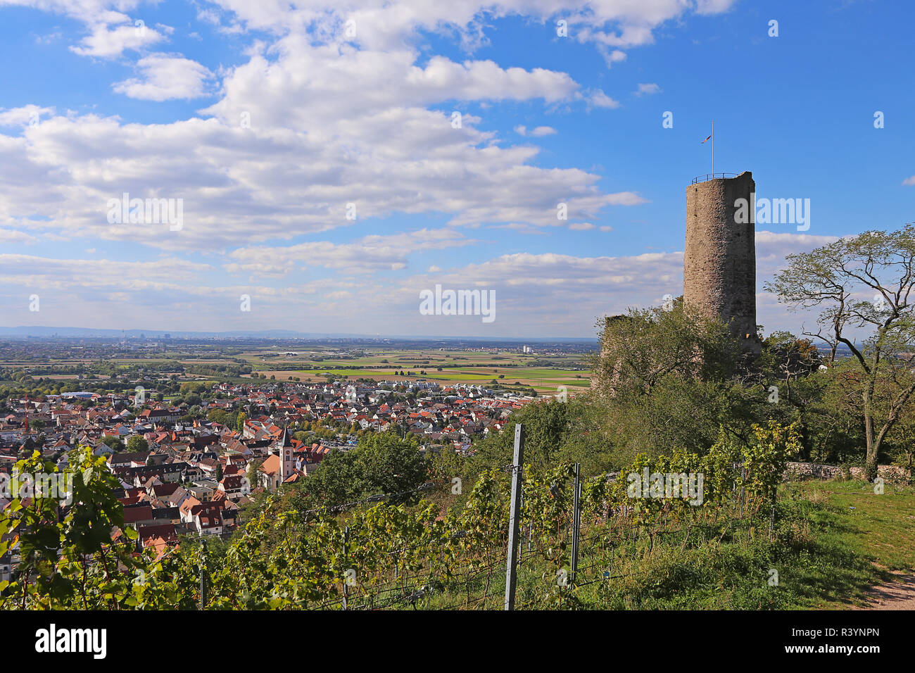the strahlenburg about schriesheim in september 2015 Stock Photo - Alamy