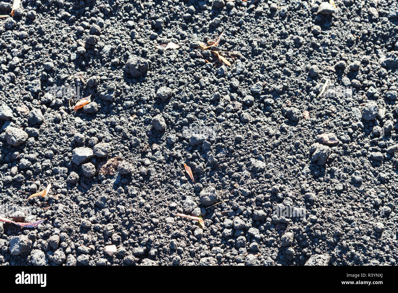 loosened earth and fallen leaves in autumn Stock Photo - Alamy