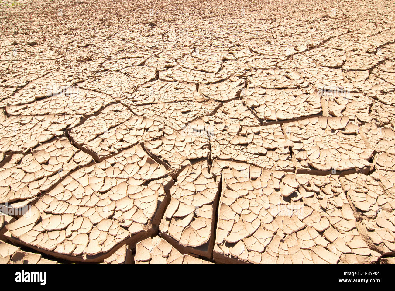 Dried Ground - Global Warming Stock Photo - Alamy