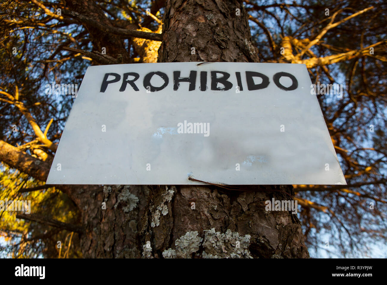 Forbidden sign on tree Stock Photo - Alamy