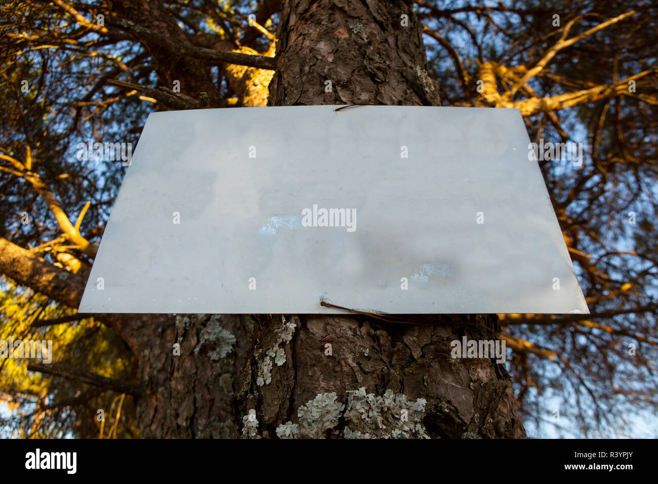 Poster pinned to tree hi-res stock photography and images - Alamy