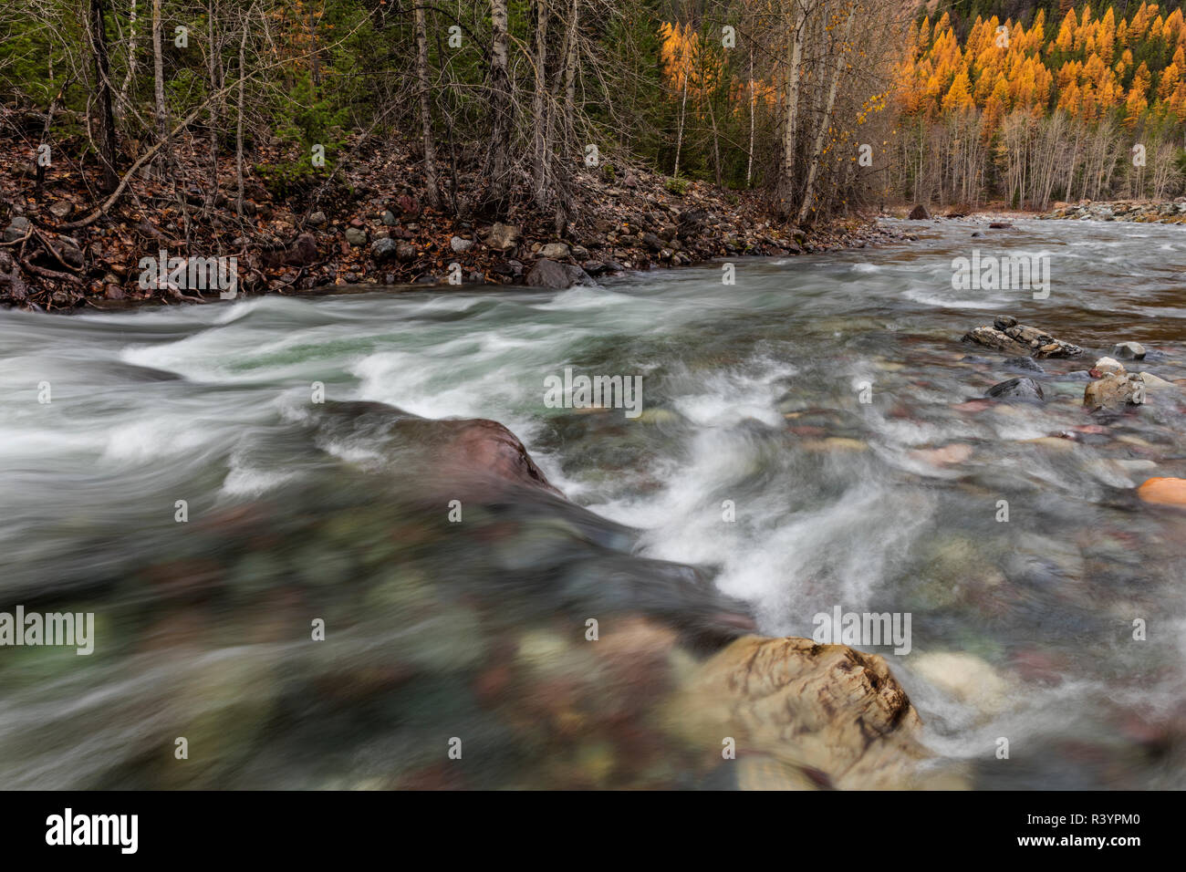 Middle fork flathead river hi-res stock photography and images - Alamy