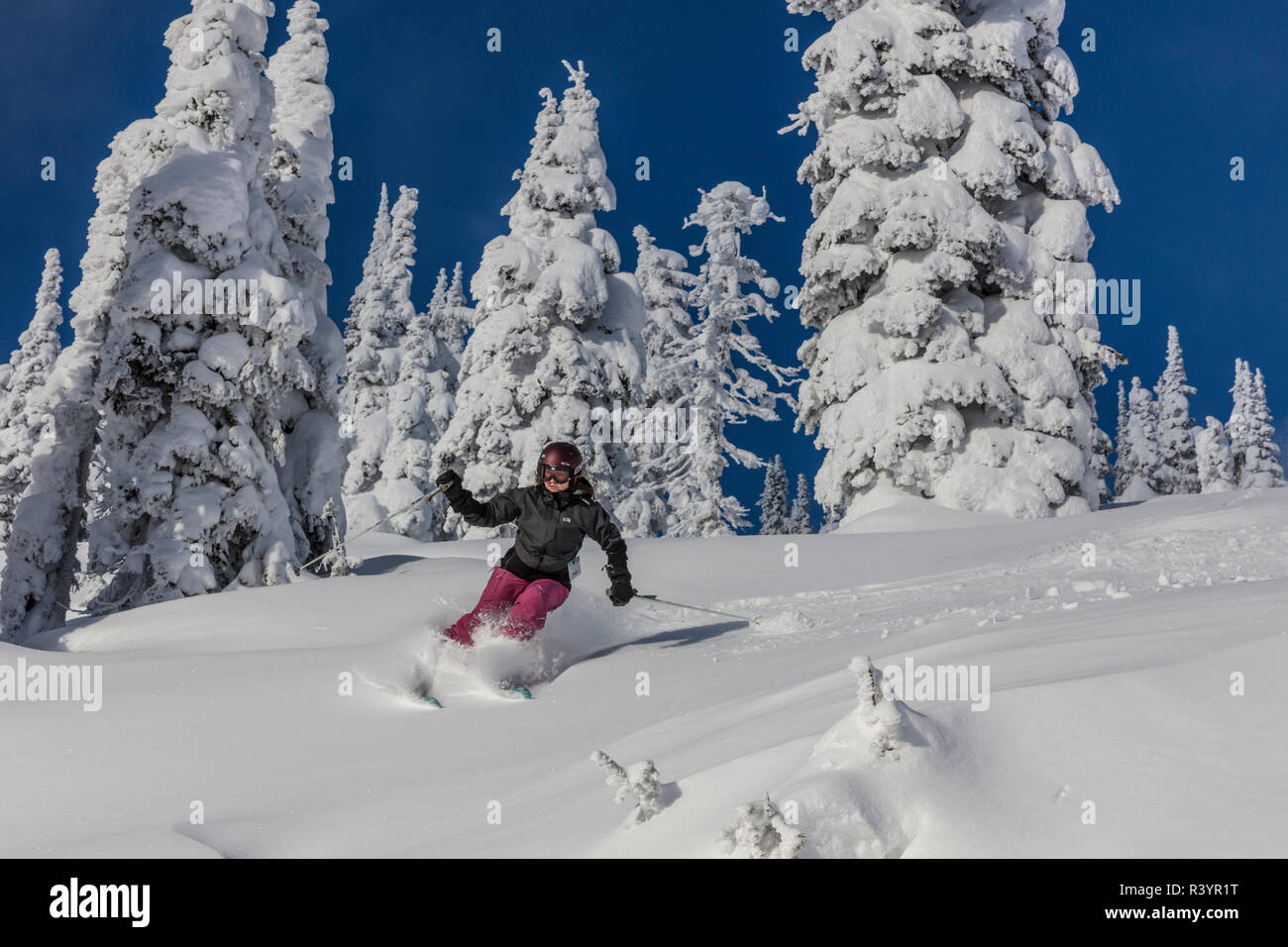 Powder ski action at Whitefish Mountain Resort, Montana, USA (MR Stock ...