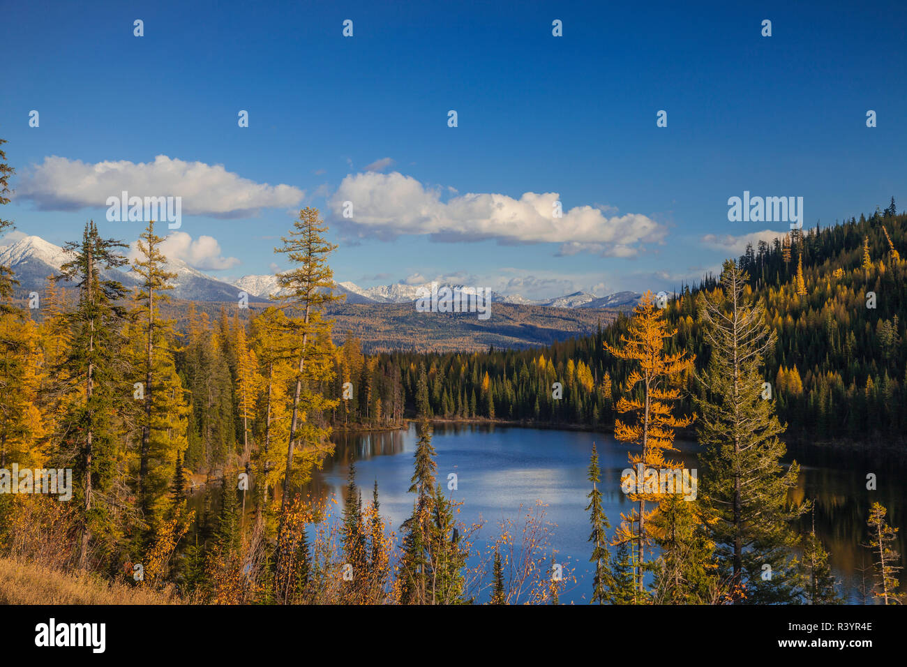 Marshall Lake in autumn in the Swan Valley of Lolo National Forest ...