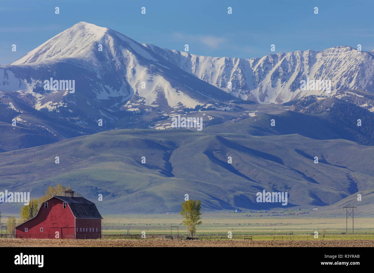 Red barn with Lima Peaks in background near Dell, Montana, USA Stock ...