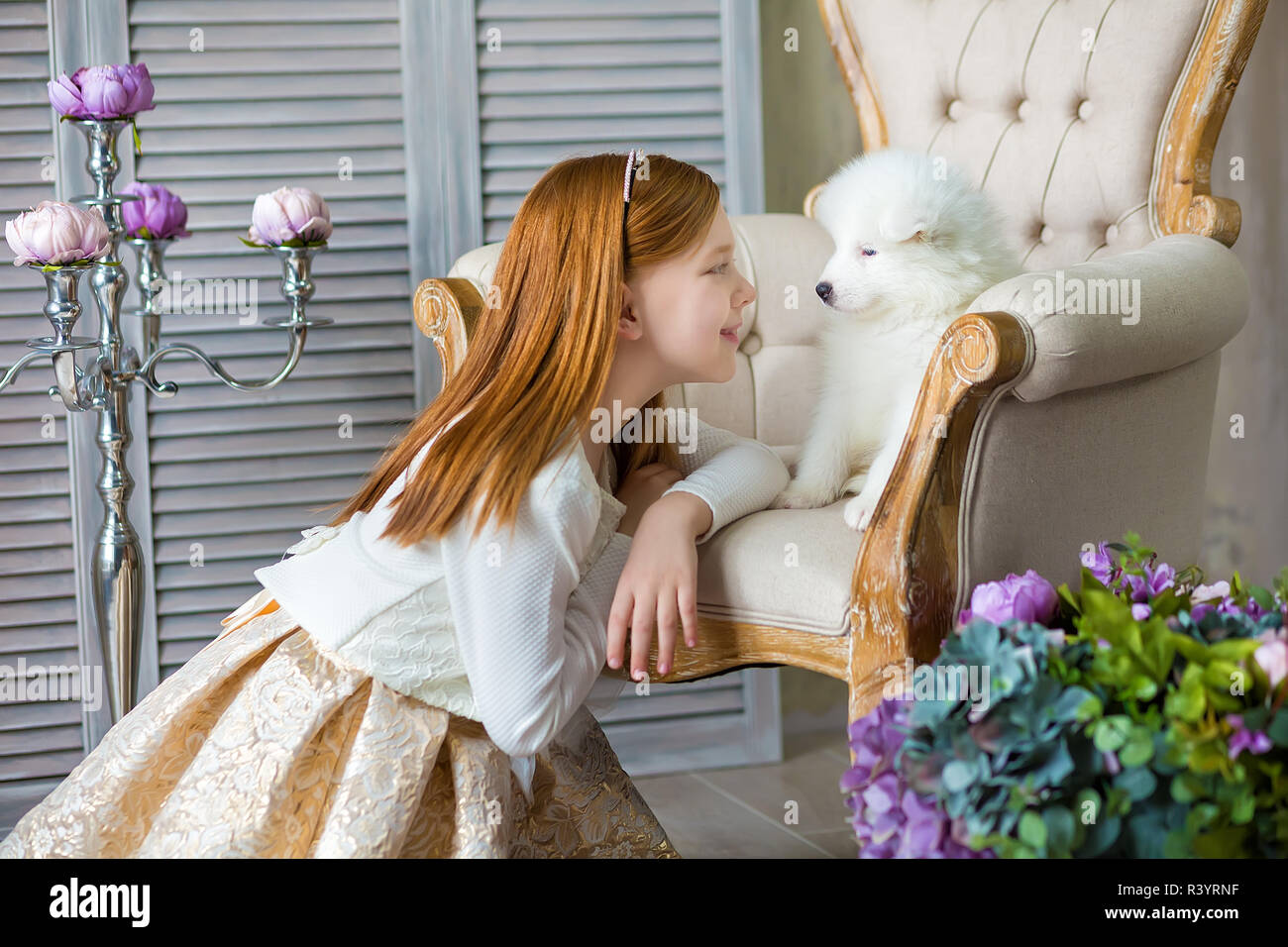 Portrait of ginger hair girl play with husky poppy.Model girl with red ...