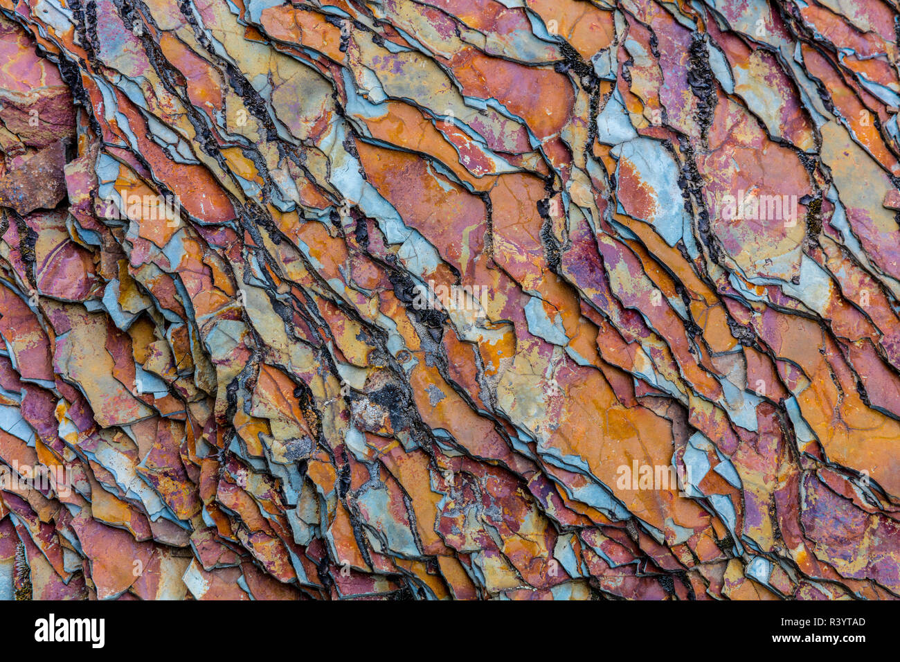 Layered rock formations at Sun Point in Glacier National Park, Montana ...