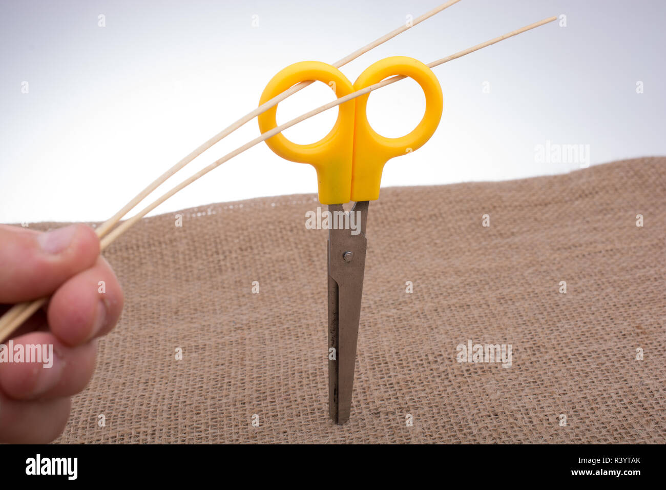 Hand holding two wooden sticks through the handles of scissors Stock ...