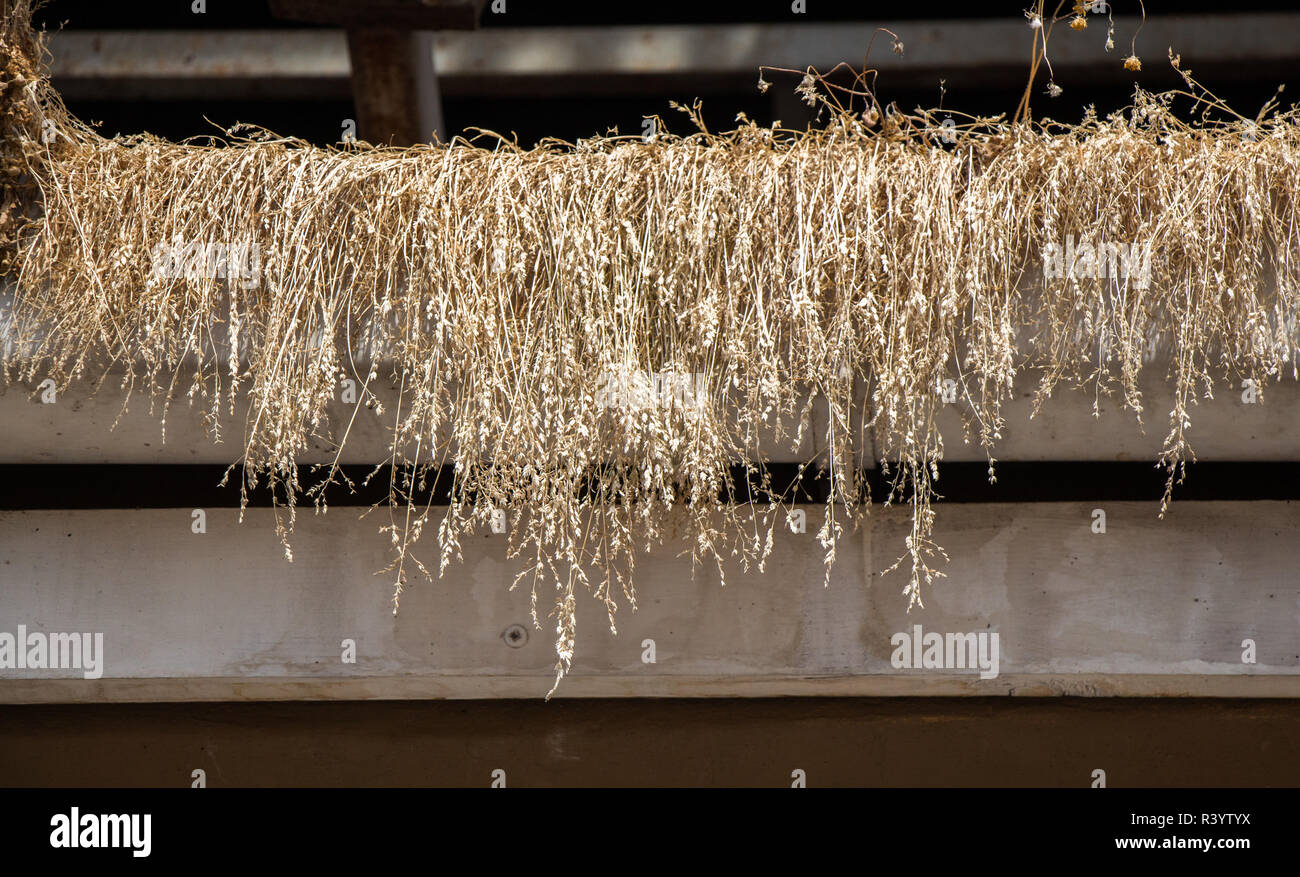 Hanging haystack hi-res stock photography and images - Alamy