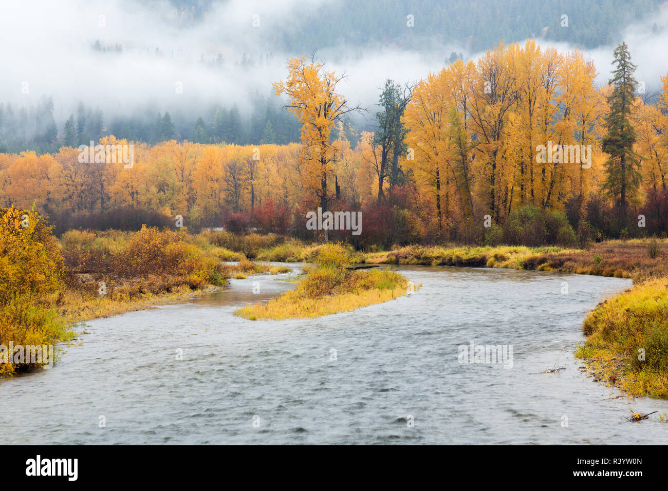St regis river hi-res stock photography and images - Alamy