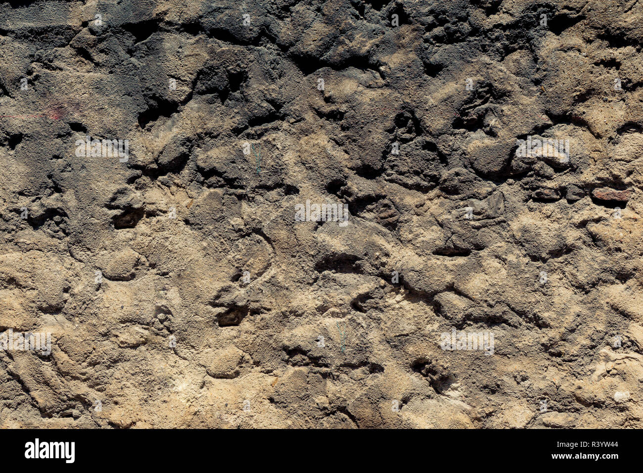 Wall surface as a simple grunge background texture pattern Stock Photo ...