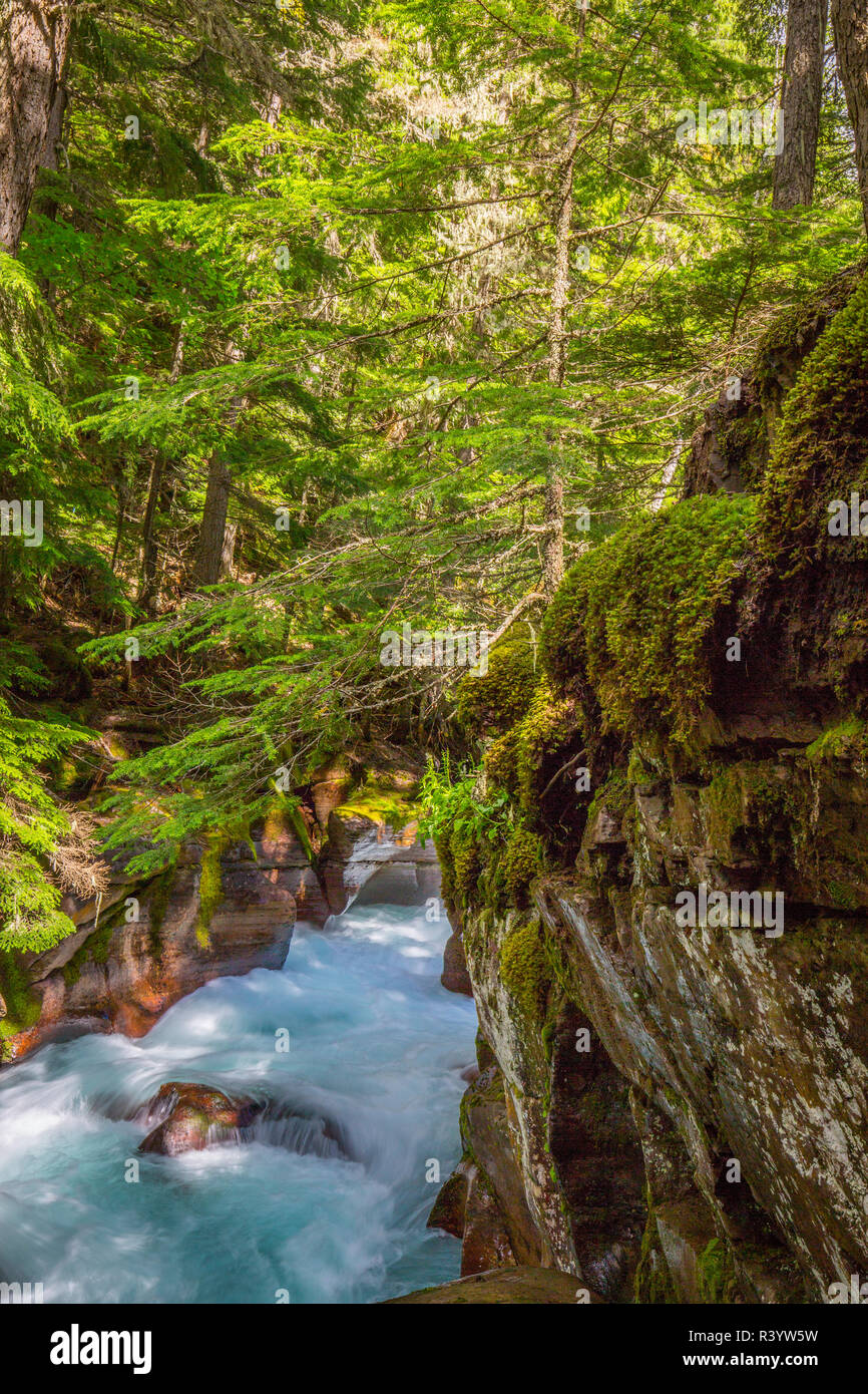 Flume, Creek, Stream, Montana Stock Photo - Alamy