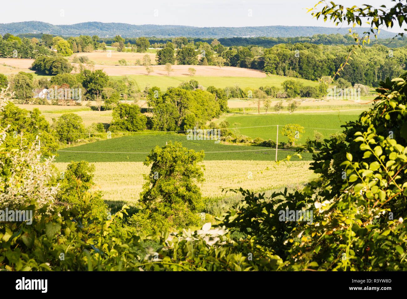 USA, New Jersey. Upper Raritan River Basin, North Branch, Tewksbury ...