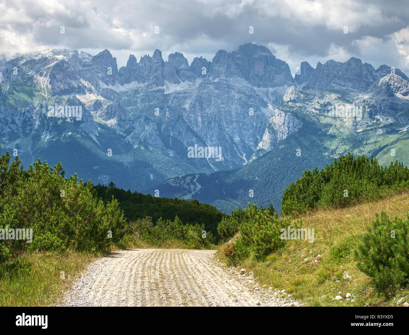Beutiful summer Alps mountains, clouds above peaks and forest in ...