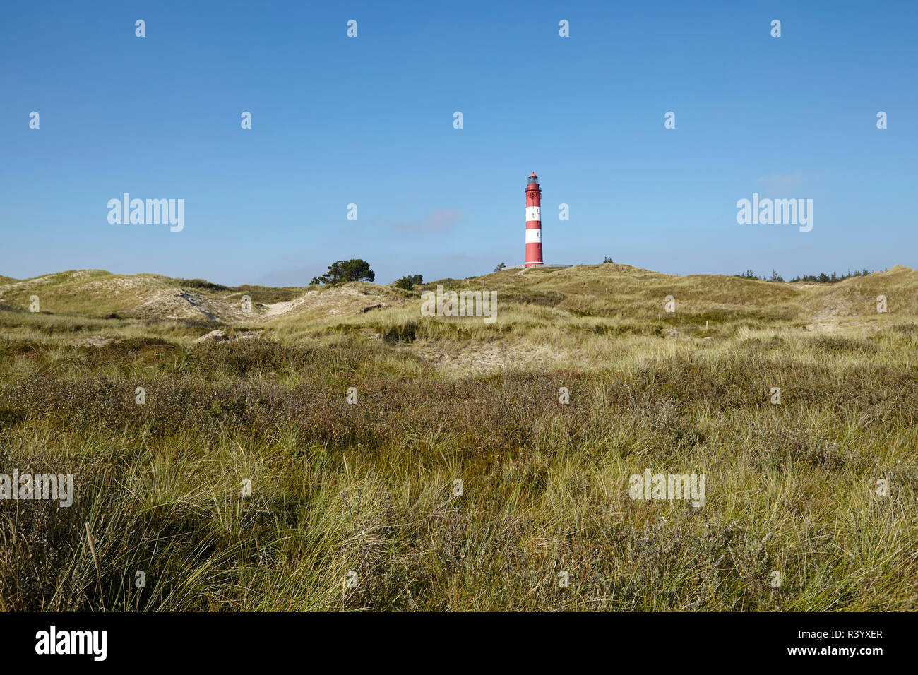 Amrum (Germany) - Lighthouse in the sand dunes Stock Photo - Alamy