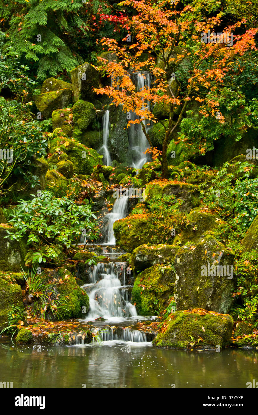 Late Autumn, Heavenly Falls, Portland Japanese Garden, Portland, Oregon ...