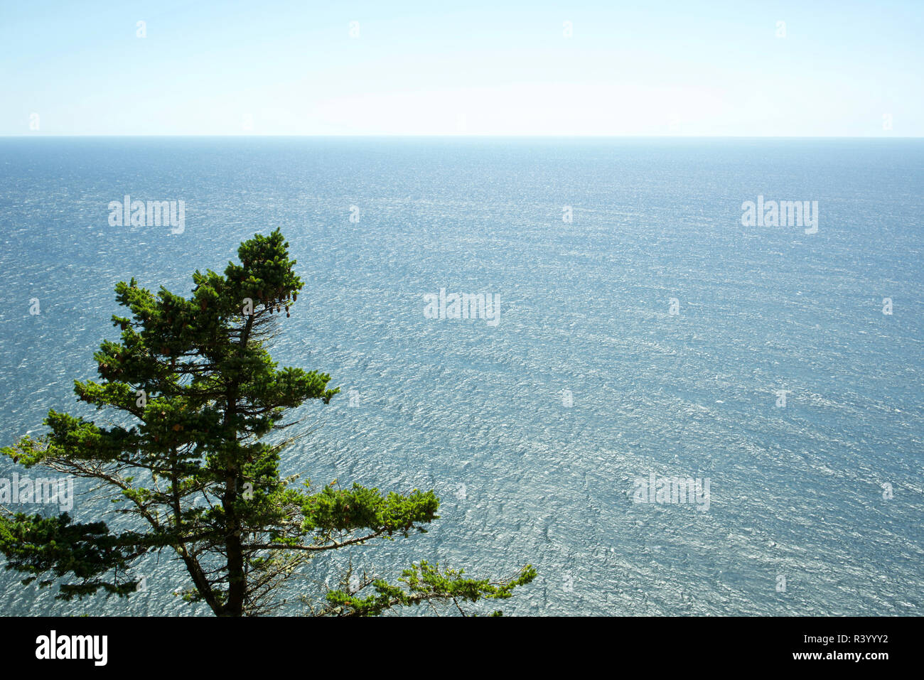 USA, Oregon. Oswald State Park lookout Stock Photo - Alamy