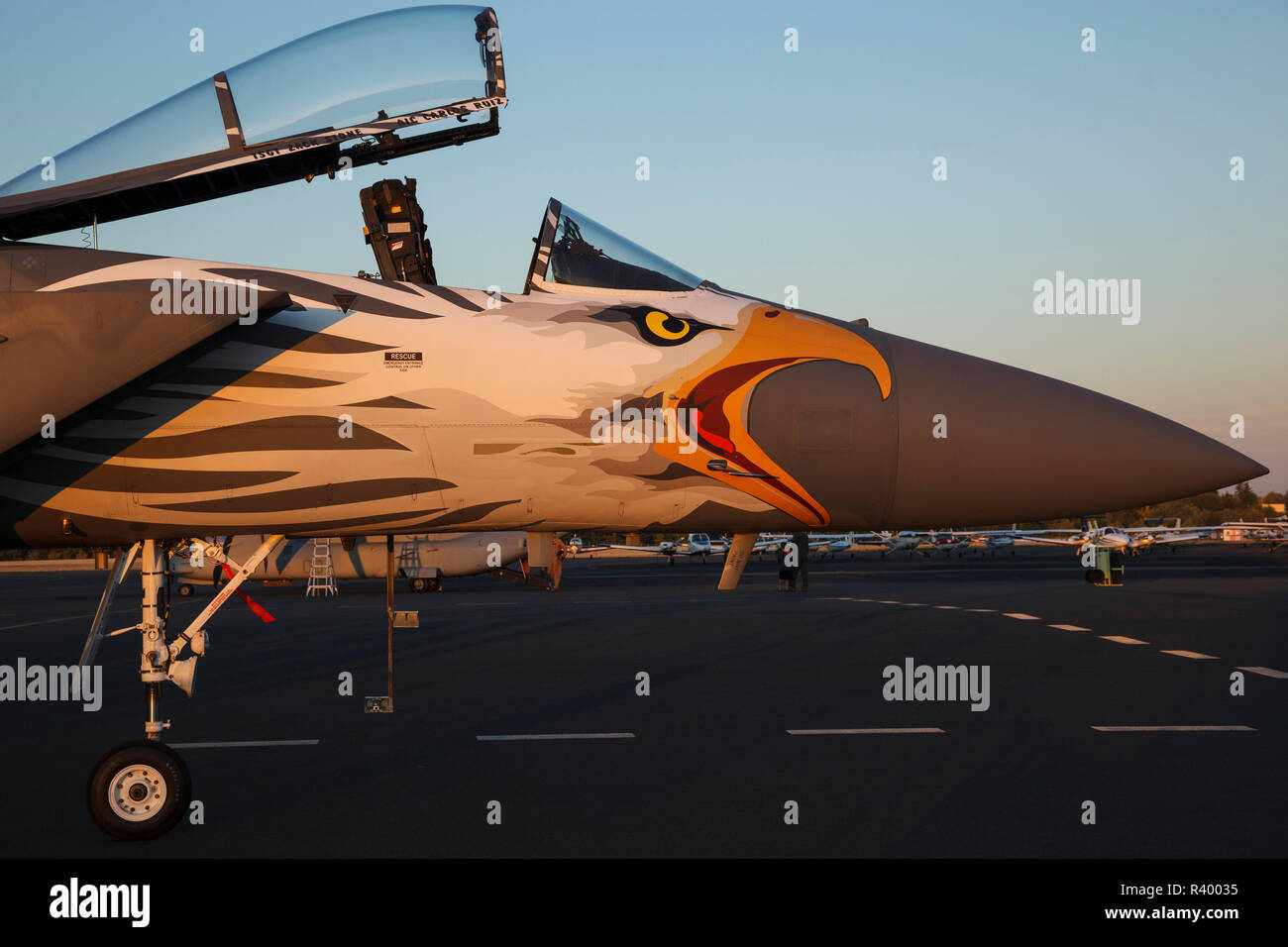 USA, Oregon, Hillsboro, F-15C Eagle in special livery for the 75th ...