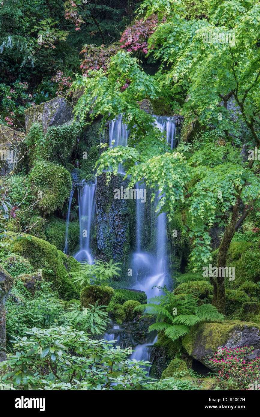 USA, Oregon, Portland, Portland Japanese Garden Waterfall Stock Photo ...