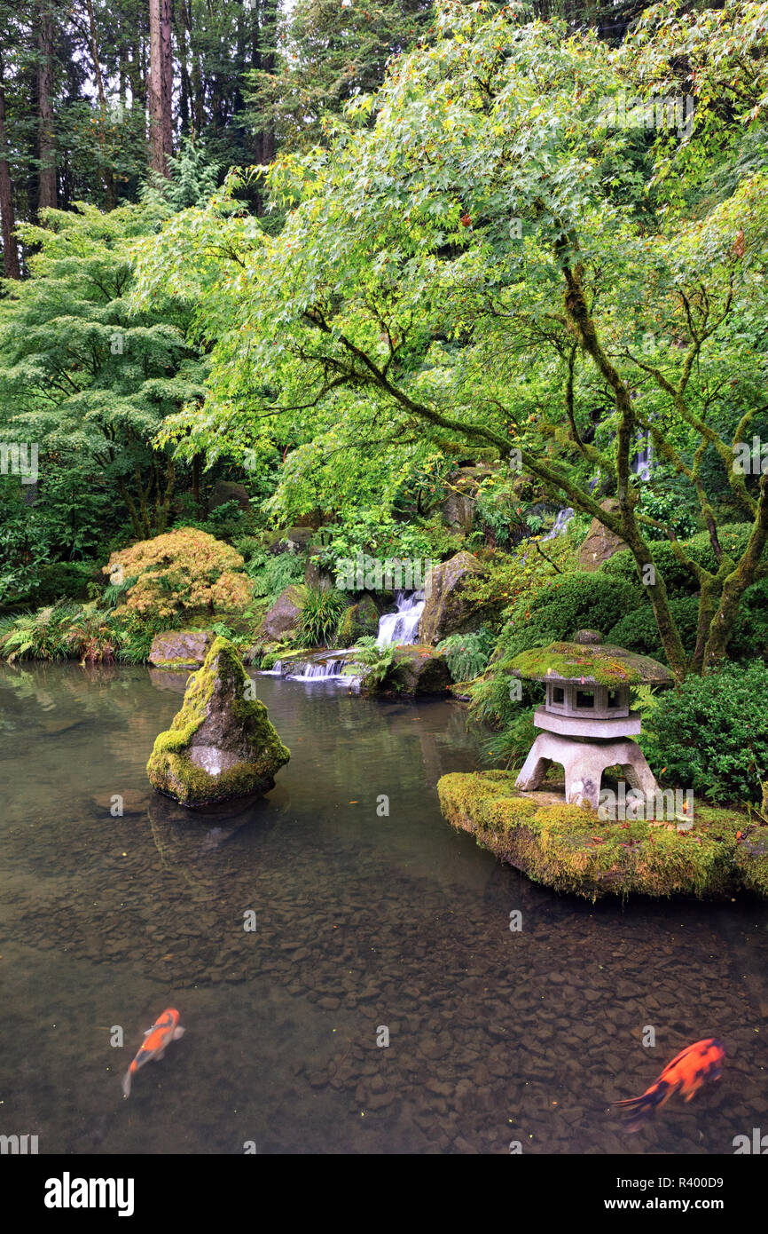 Portland oregon usa fish hi-res stock photography and images - Alamy