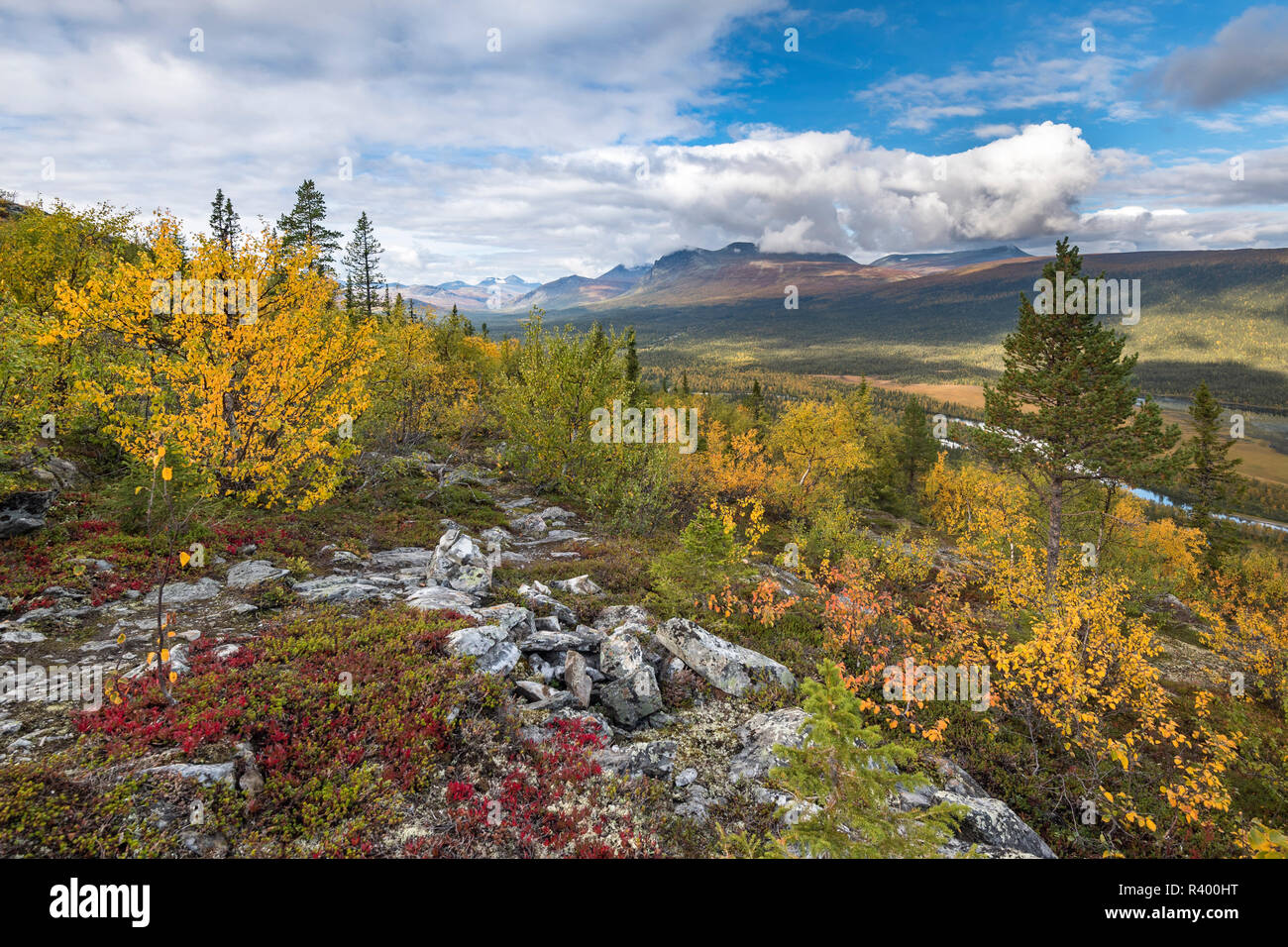Laponia national park hi-res stock photography and images - Alamy