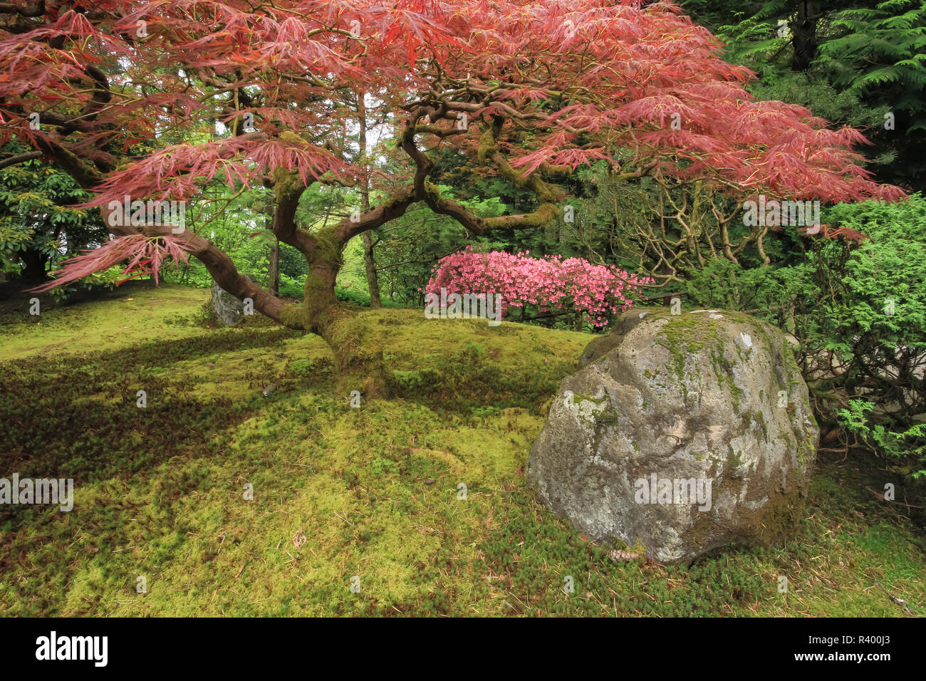 Portland Japanese Garden, Oregon Stock Photo - Alamy