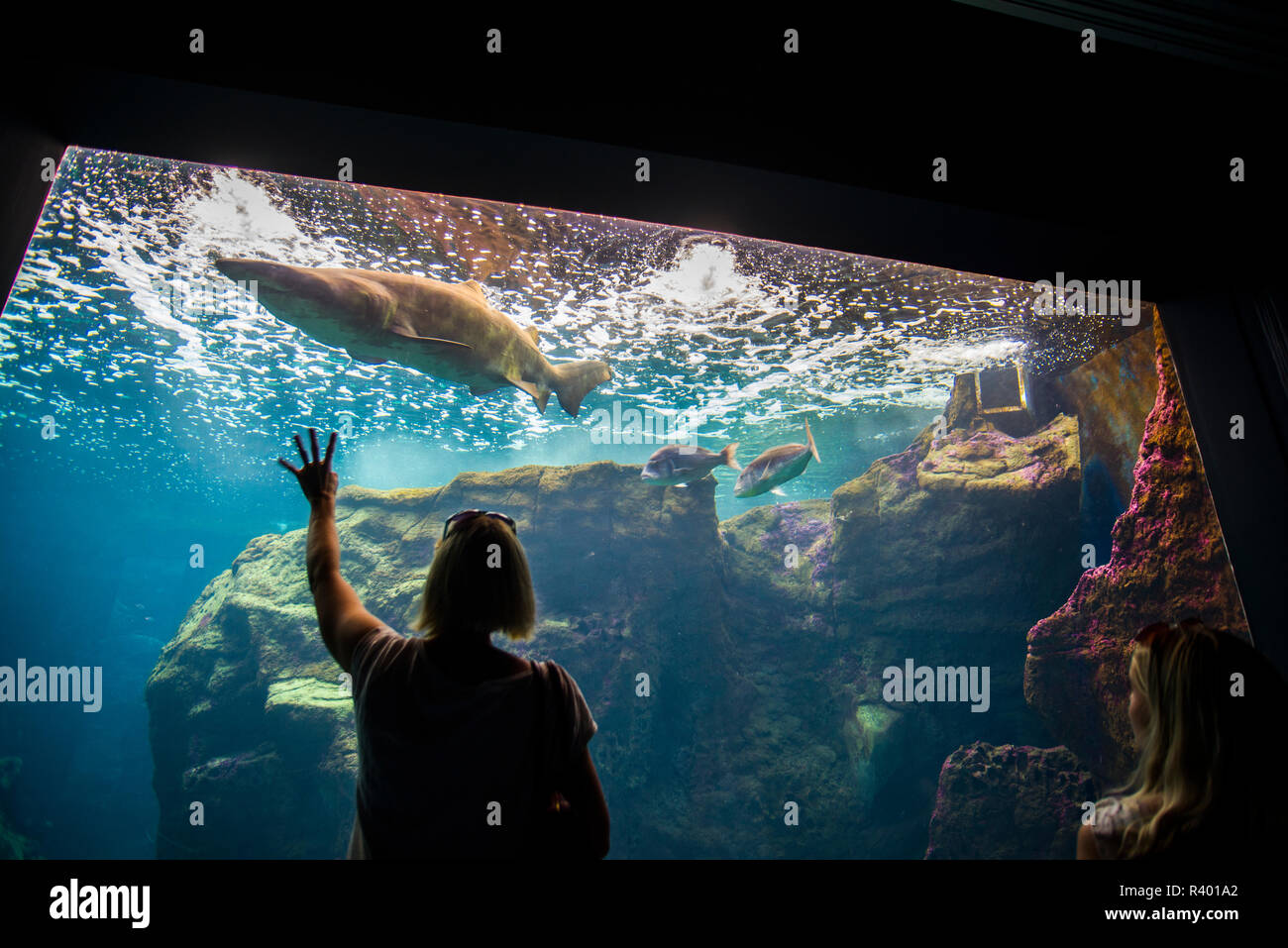 europe, greece, creta, heraklion, region, cretaquarium Stock Photo - Alamy