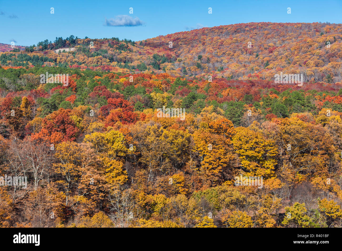 Elevated view of the delaware river hi-res stock photography and images ...
