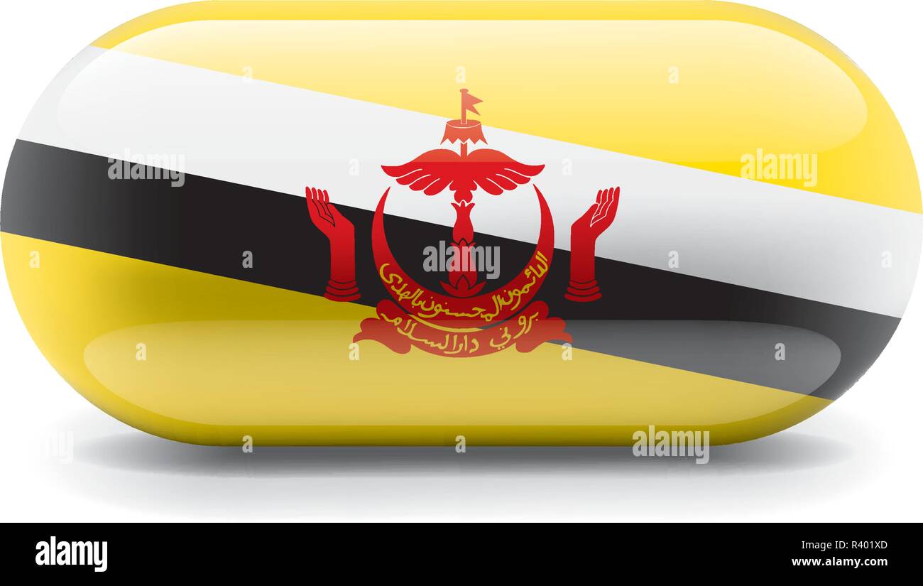 Brunei flag, vector illustration on a white background Stock Vector ...
