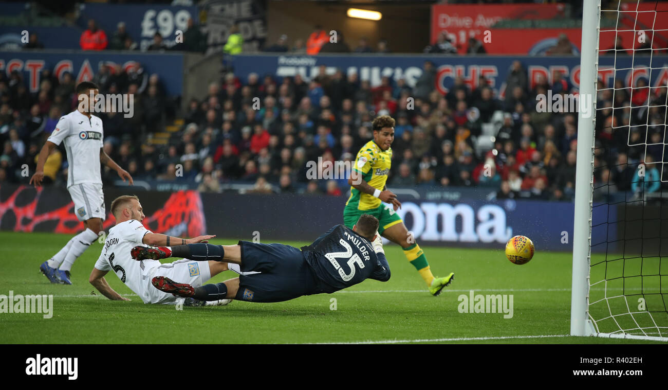 Swansea City's Mike van der Hoorn scores an own goal past goalkeeper ...