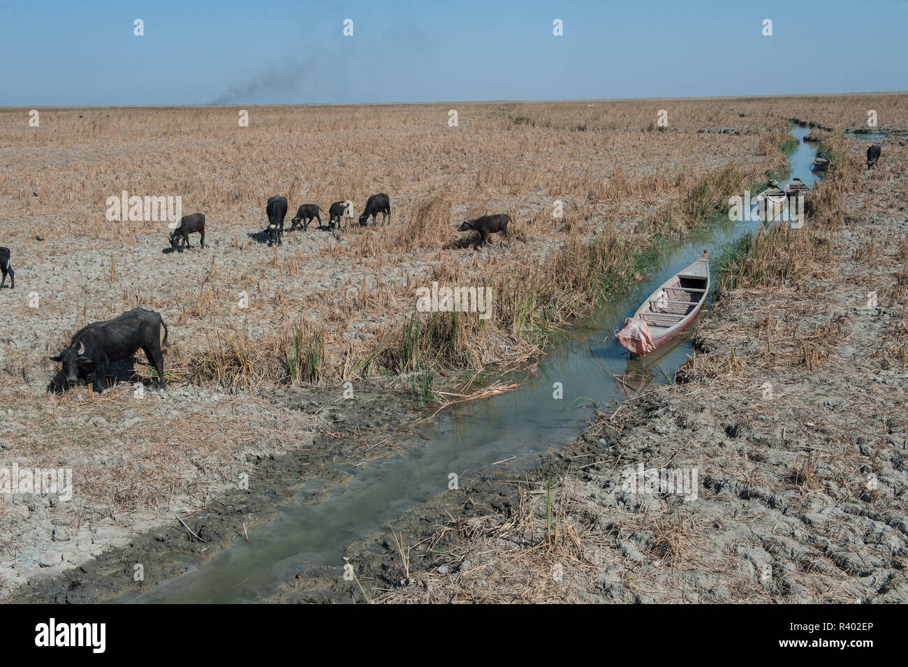 Southern Iraq Landscape