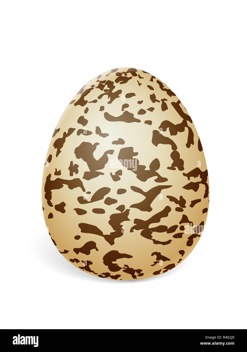 Quail egg on a white background. Vector illustration Stock Photo - Alamy