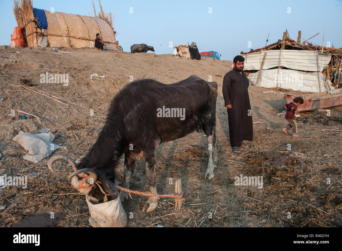 Tigris euphrates marsh hi-res stock photography and images - Alamy