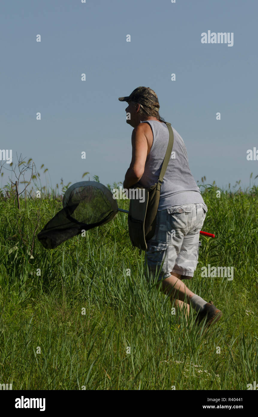 Older man with butterfly net and collecting butterflies on an Oklahoma ...