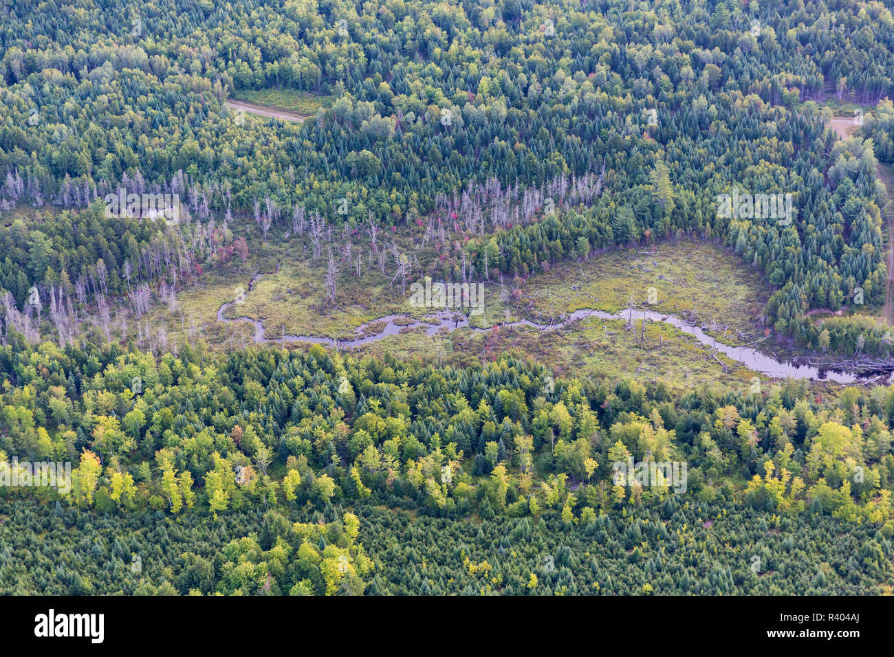 Wytipitlock Stream, Reed Plantation in Reed, Maine Stock Photo - Alamy