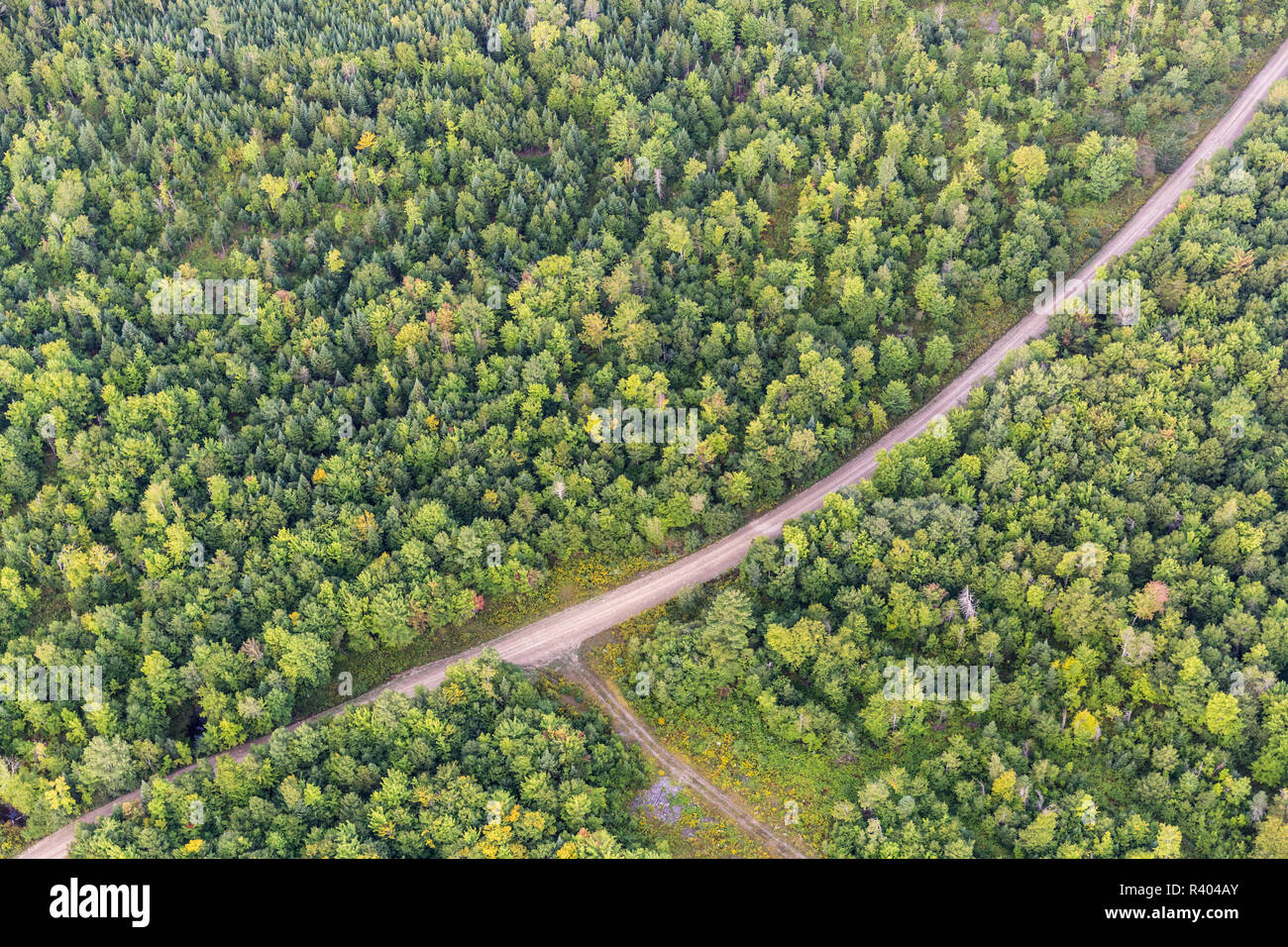 Aerial of the working forest of Reed Plantation in Reed, Maine Stock ...