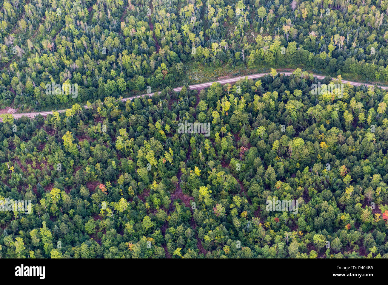 Aerial of the working forest of Reed Plantation in Reed, Maine Stock ...